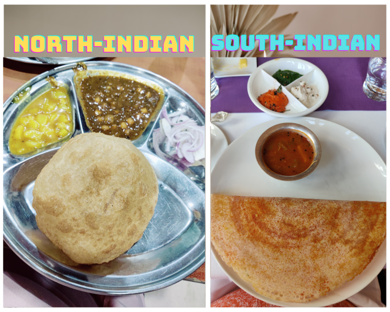 North Indian Or South Indian Food: Favourite Cuisine? - Prinkled